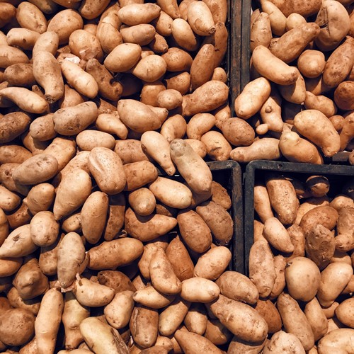 Bradshaw to be Spud Day Parade Grand Marshal | REYCO Systems